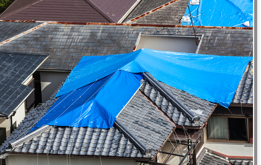 Risk Management for HOAs & Large-Scale Repair Projects: Lessons from ...